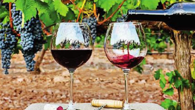Medicine: This festive season, clink glasses to wine made in UP ...