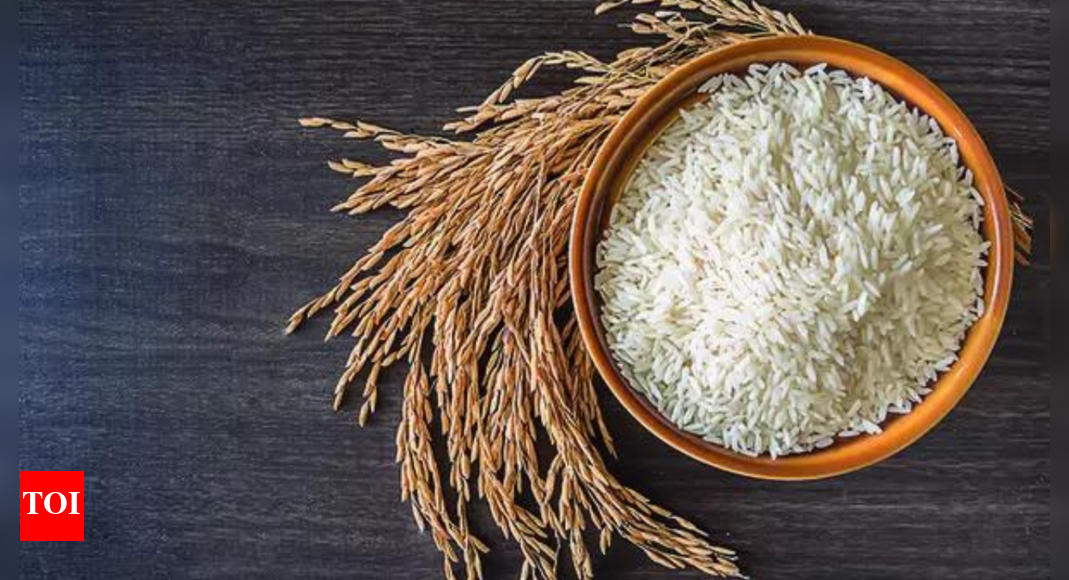 Rice Smuggling: After export ban, rice smuggling booms along Indo-Nepal ...