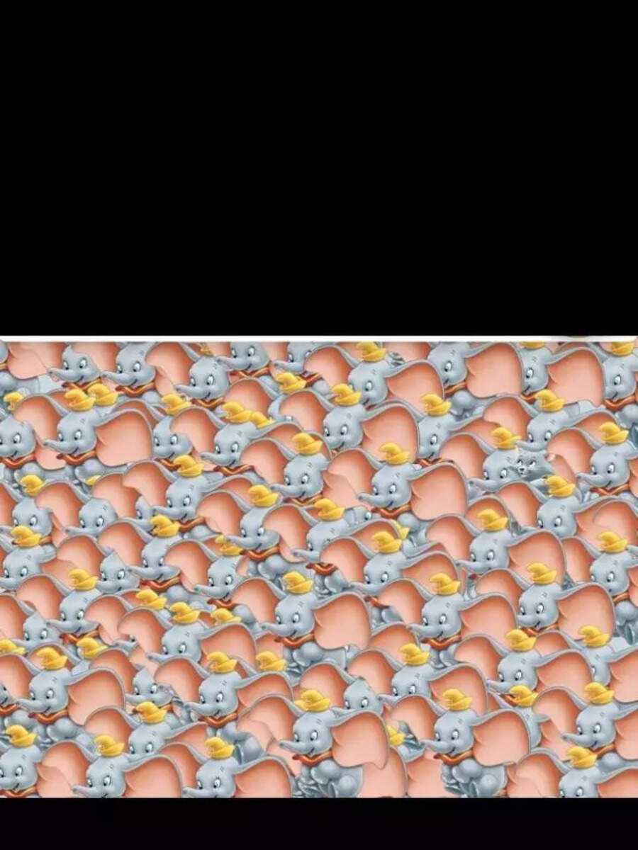 Optical Illusion: Spot The Hidden Cat In 7 Seconds | Times Now