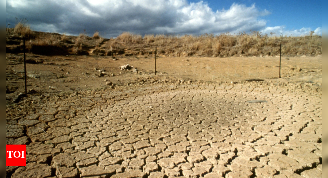 US weather agency predicts chances of 'Super El Nino' next year, what ...