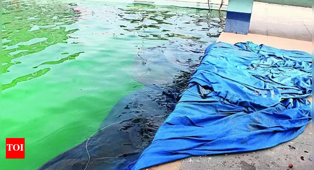 Swimming Pool: Users Blame Authorities Over Poor Upkeep Of Swimming ...