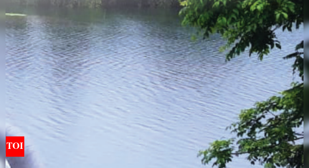 Goa: No more water shortage by December 2024, says water resources ...