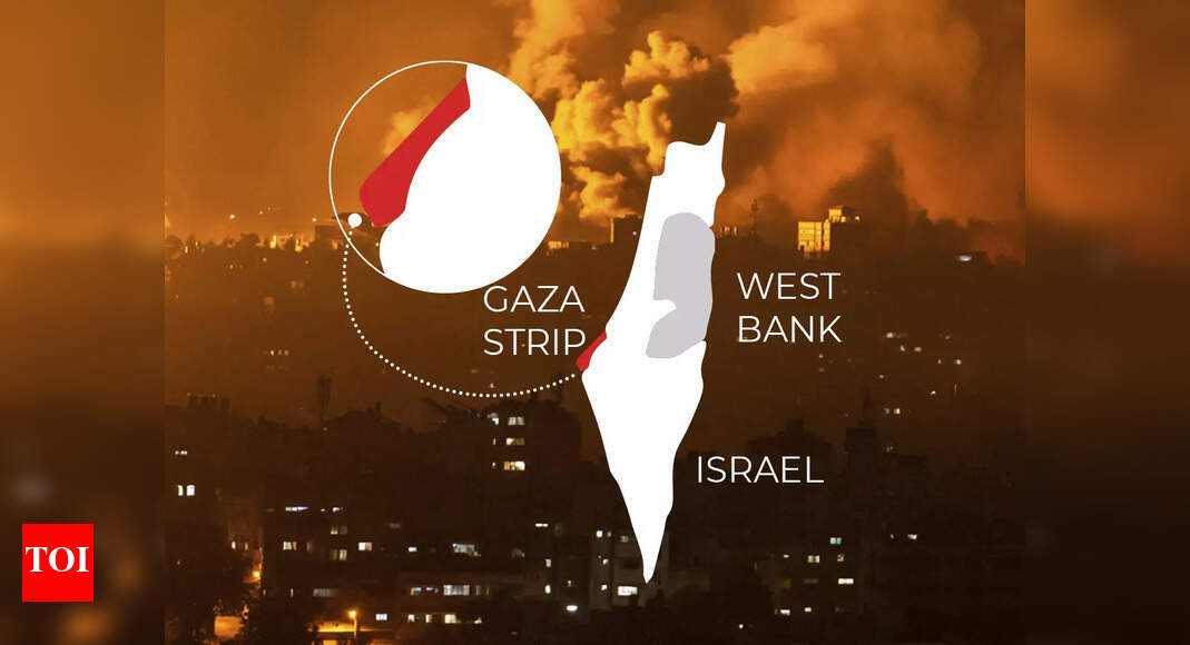 Infographic: 10 interesting facts about Gaza Strip - Times of India
