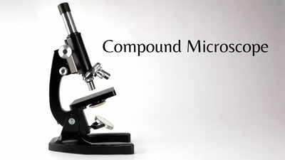 Compound microscope | - The Times Reviews