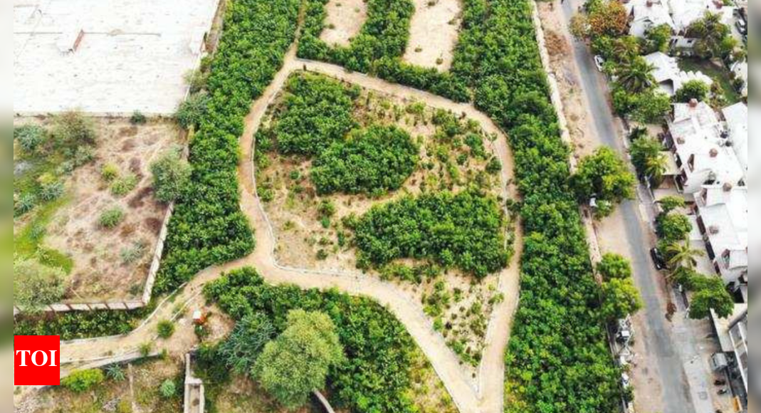 'Urban forests' not enough to end pollution: Study | Ahmedabad News ...