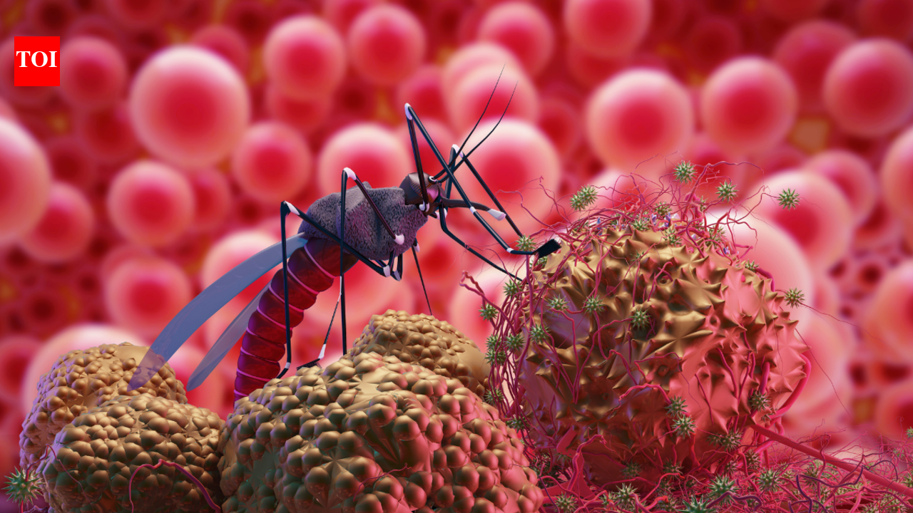 Malaria: Deadly long term effects of malaria you should know about