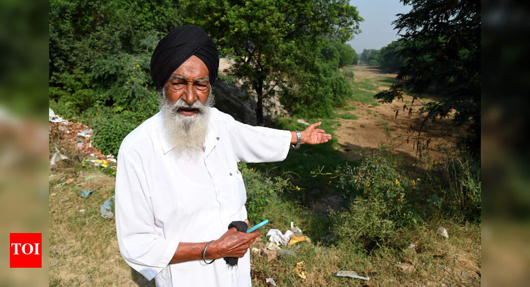 Punjab Water Scarcity: Water table sinking, but farmers just watch ...