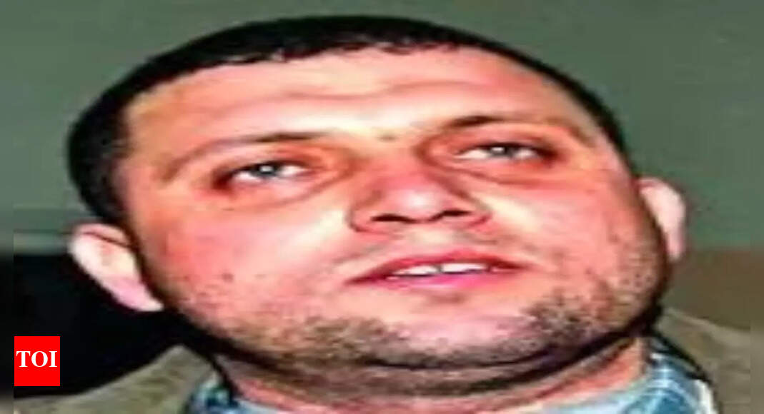 Ecology: Top Hamas commander killed in strike - Times of India