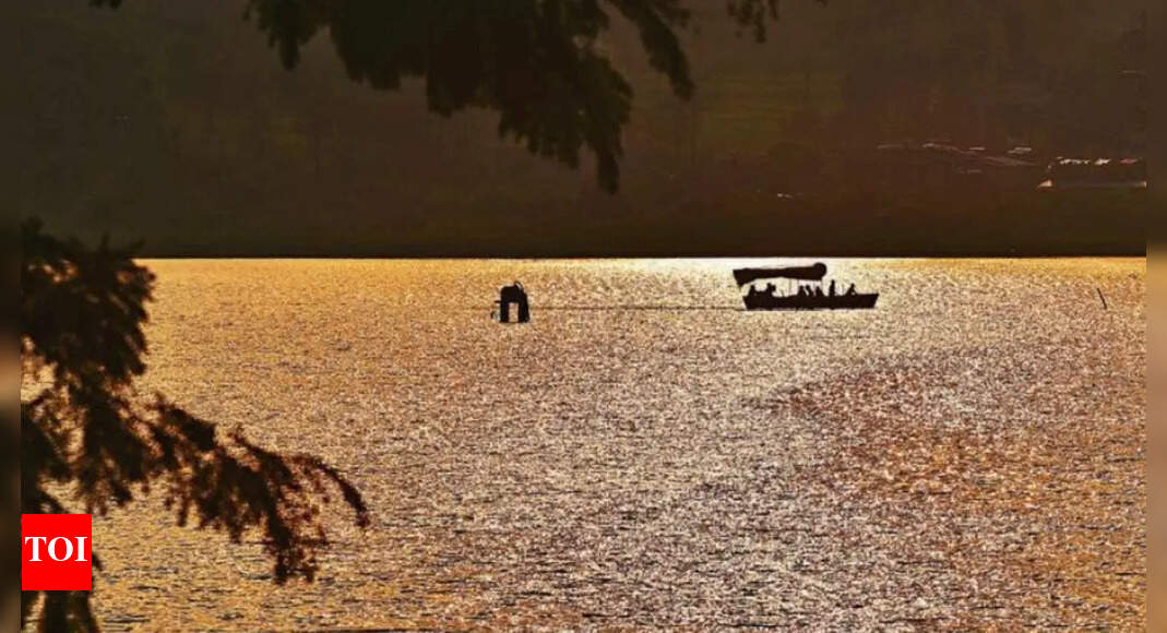 Population up, we need more water: PMC to irrigation dept | Pune News - Times of India