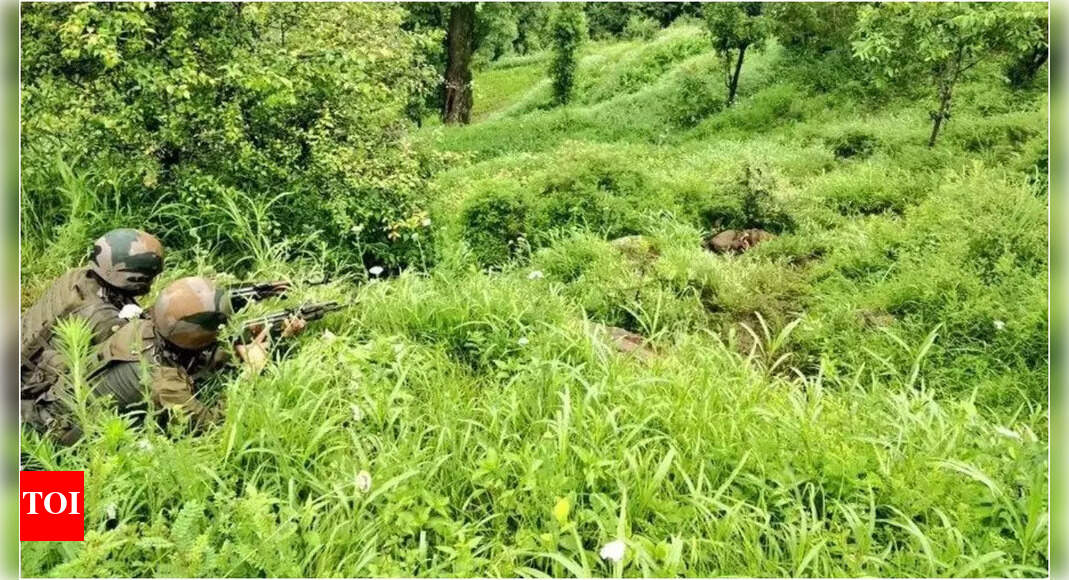 Two BSF personnel injured as Pak Rangers open fire along IB in Jammu ...