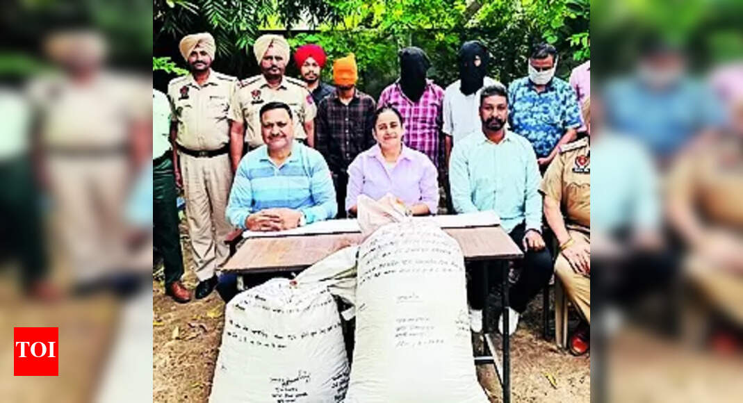 Quality Of Life: 4 Arrested With 67kg Poppy Husk | Ludhiana News ...