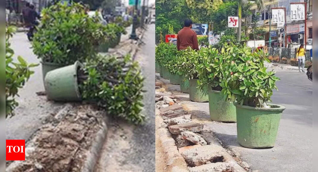 Public Safety: Mdda’s Beautification Work For Investorsummit Threatens ...