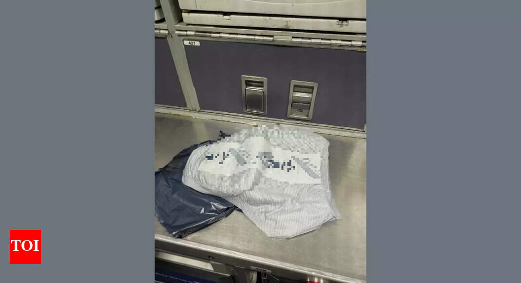 Adult diaper, mistaken for a bomb, causes emergency landing of a plane ...