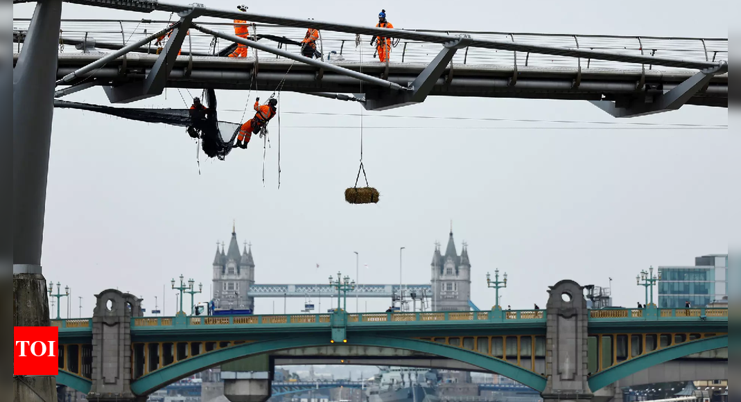 Maritime: Millennium bridge: Centuries-old tradition revived, workers ...