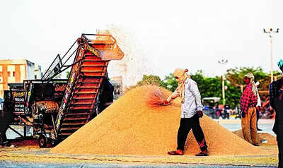 Rice Millers: Paddy Lifting Operations On Again As Weather Has Cleared ...