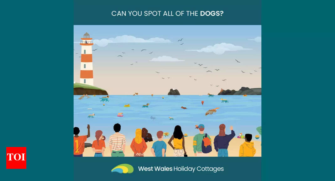 There are 25 dogs in this image; can you find them all within a minute ...