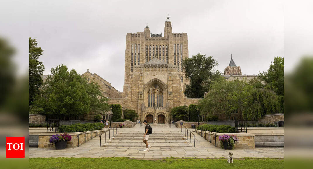 Harvard’s $51 billion fund beats Yale in hard year for endowments ...