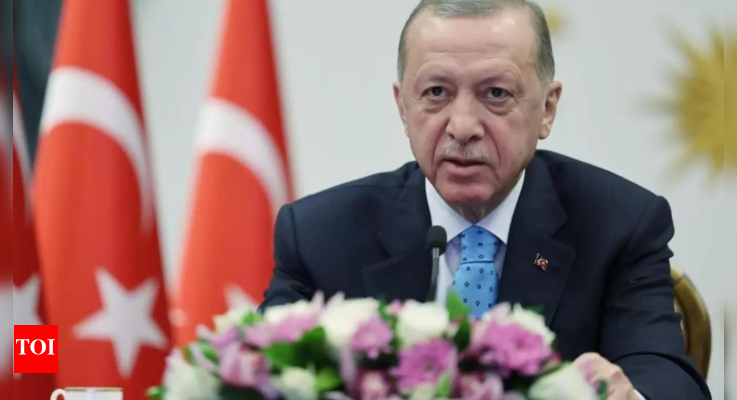 Turkish president warns Israel against expanding Gaza operation - Times ...