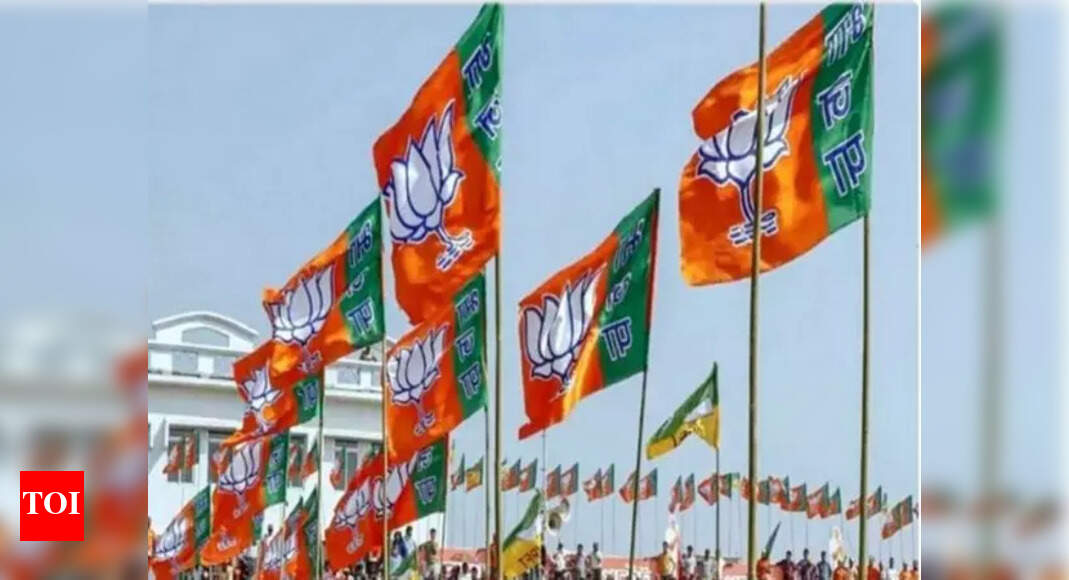 Vasundhara Raje: BJP’s 2nd list for Rajasthan: Vasundhara Raje retained ...