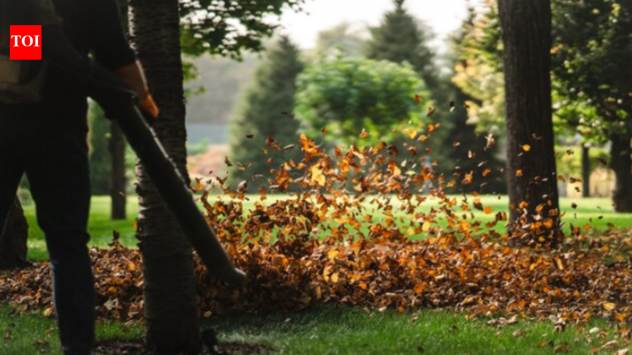 Advanced Leaf Blower Machines to Help You Clean in a Better Way | - The ...
