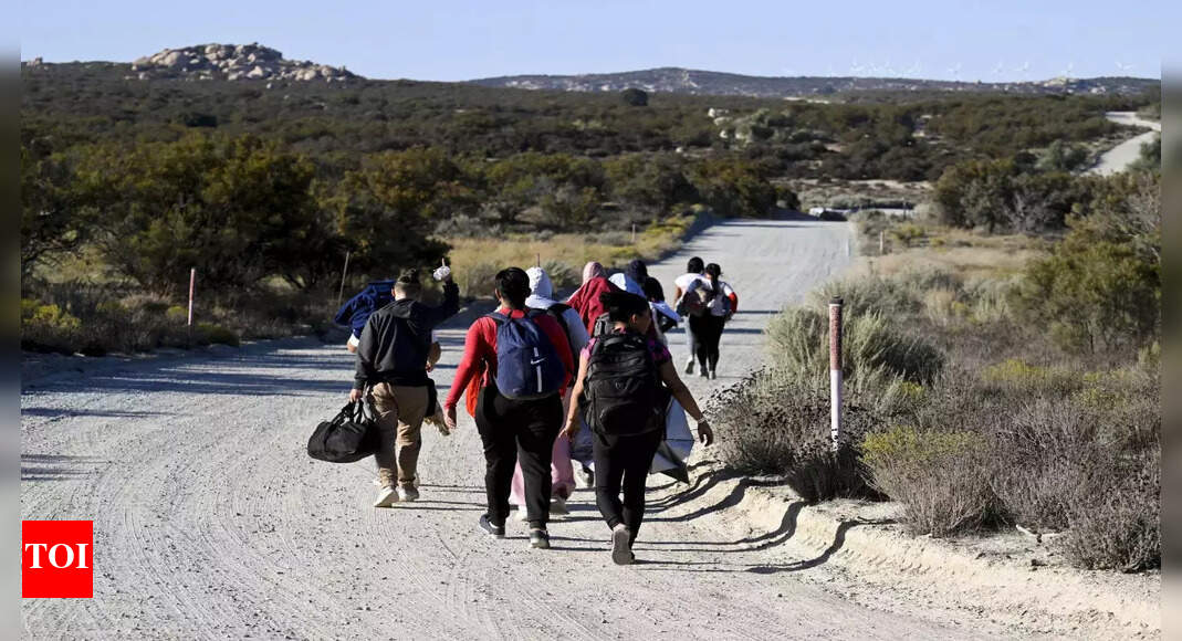 Guns: FBI arrests Palestinian asylum seeker on gun charges - Times of India