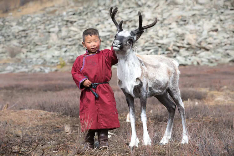 Photos from Mongolia, a travel destination that's surprisingly ...