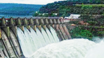 Extinction Event: Ap Reservoirs Drying Up Due To Scanty Rainfall ...