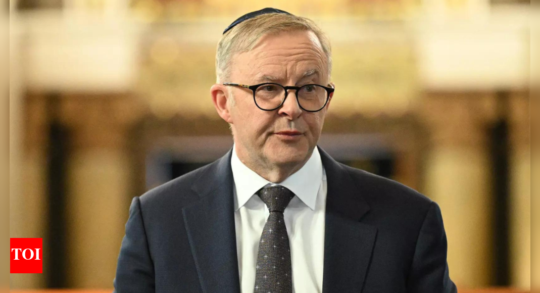 Australian PM Anthony Albanese to visit China in November to meet with Xi - Times of India