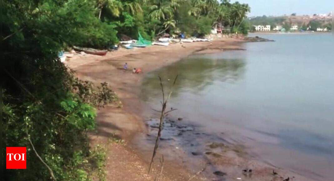 Marina protesters allege project proponent using political push | Goa ...