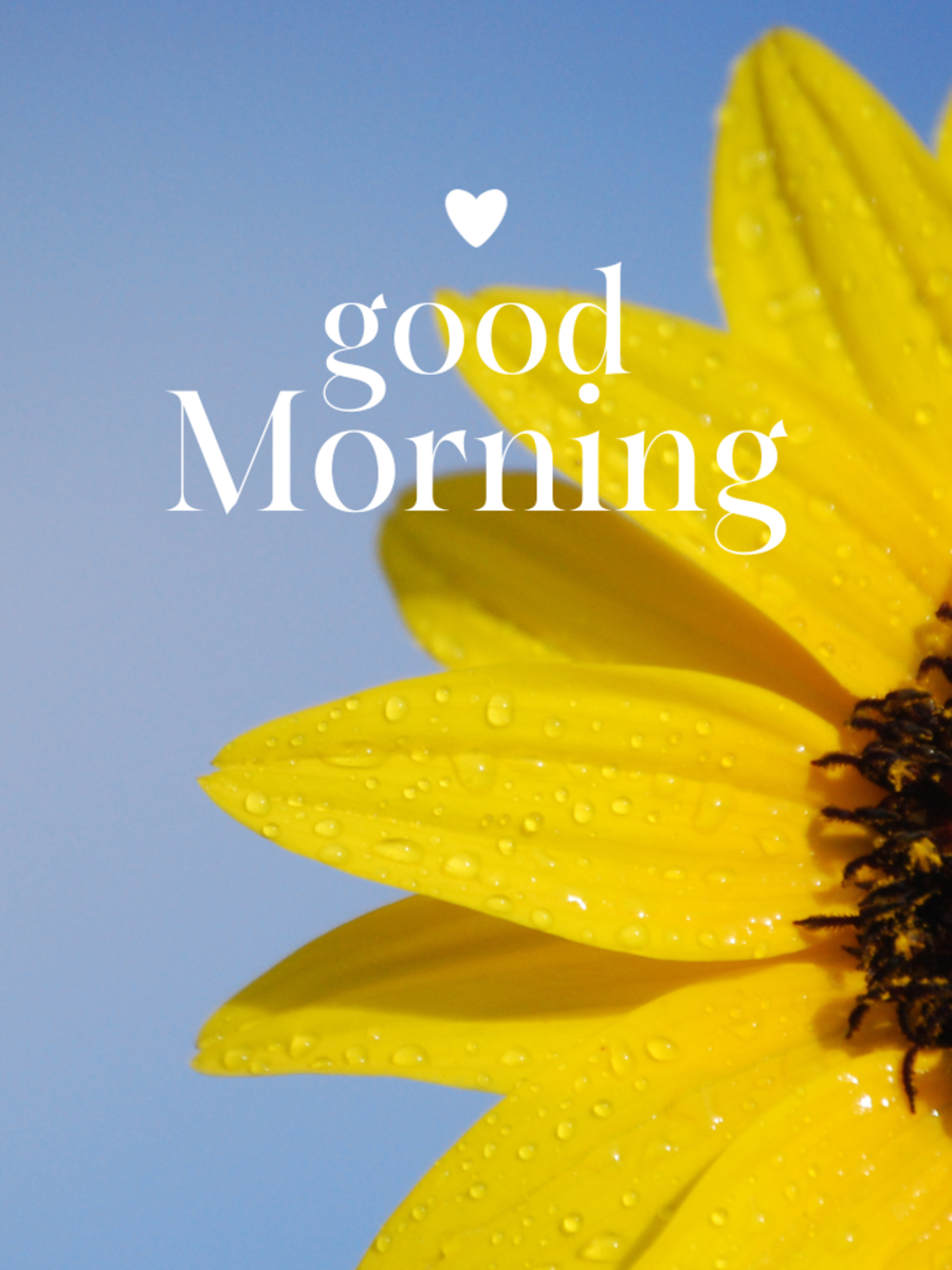 Good Morning Monday Images for WhatsApp | Times Now