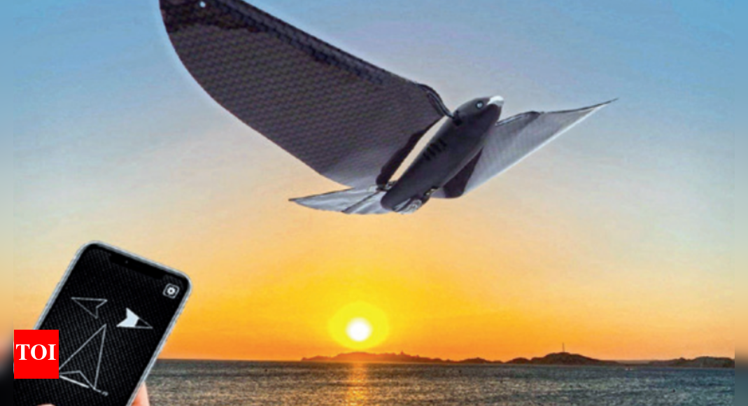 NFSU's 'ro-birds' to clip wings of rogue drones | Ahmedabad News ...