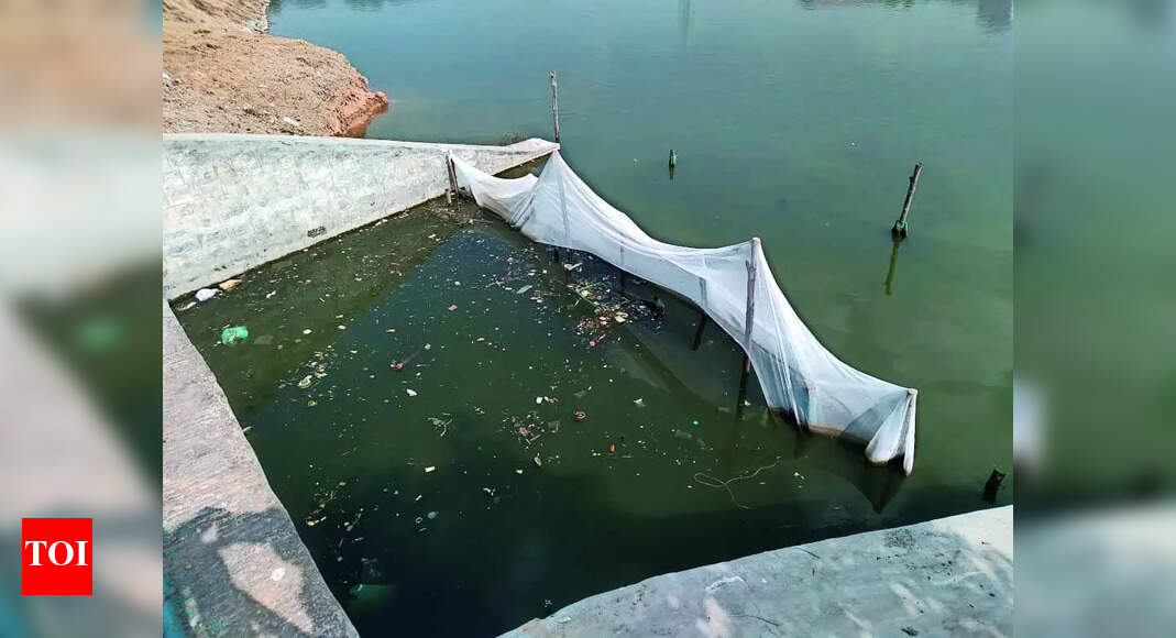 Quality Of Life: ‘sewage Entering Lake, Killing Fish’ | Bengaluru News ...