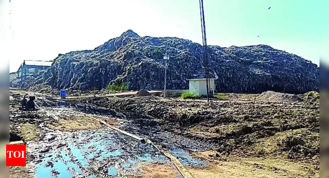 Waste Management: City All Set To Get Rid Of Over20 Lakh-tonne Legacy ...