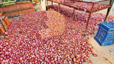 Onion Exports: Onion Exports From Nashik District Up Despite 40% Duty | Nashik News - Times of India