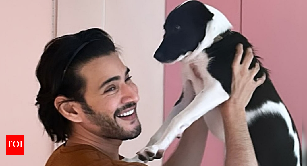 Mahesh Babu spends Sunday with pet dog, calls it the 'best way ...