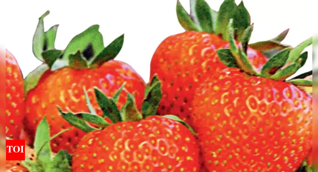 Strawberry price may rise as cultivation area reduces | Pune News ...