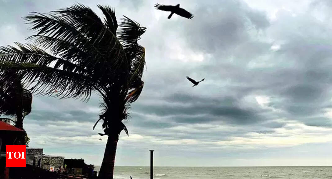 Cyclone In Bay Of Bengal: Cyclone Hamoon intensifies into severe cyclonic storm over Bay of ...
