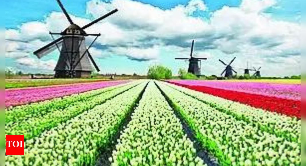 Scale up renewable energy push | India News - Times of India