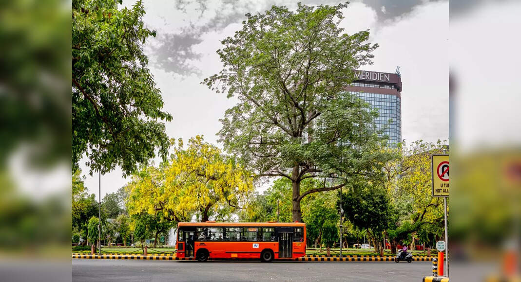 Delhi: Soon, one card for Delhi Metro as well as buses for travellers ...