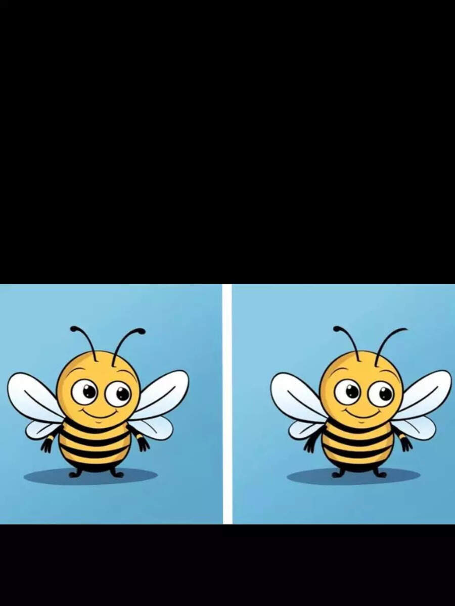 Puzzle: Only 1 Percent Can Spot 3 Differences In the Image In 5 Seconds ...
