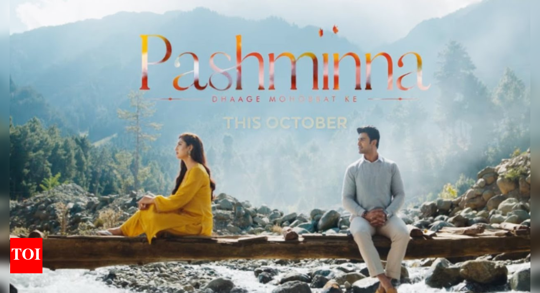 Rediscovering the magic of true love in the show 'Pashminna': A ...