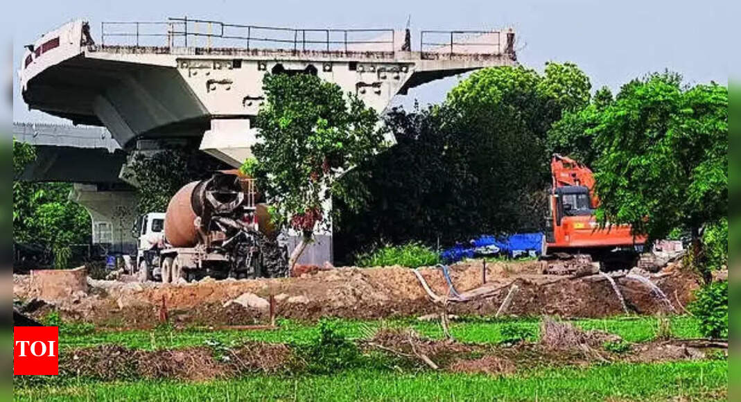 Delhi: Barapullah Phase-III hits new green hurdle | Delhi News - Times ...