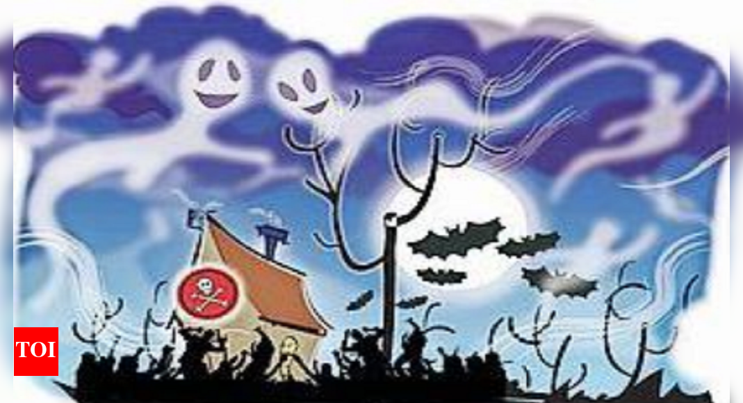 Hyderabad News: 'Ghostbusters' give residents of Kundanbagh sleepless ...
