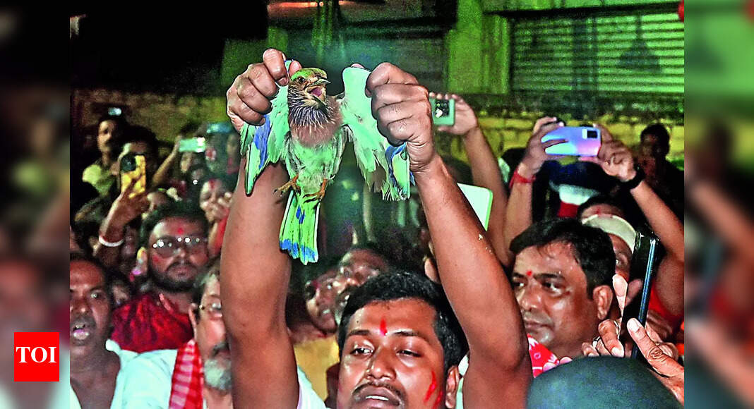 Ritual: Greens Bat For Alternatives To Keep ‘nilkanth’ Ritual Alive ...