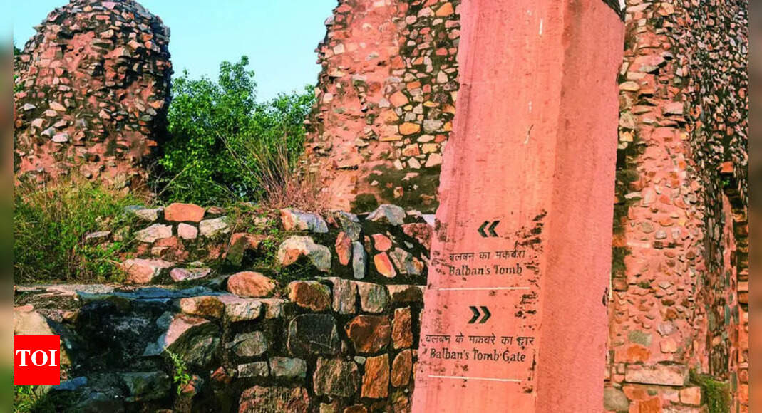 13th-century Balban's tomb inside Mehrauli Park goes under the knife ...