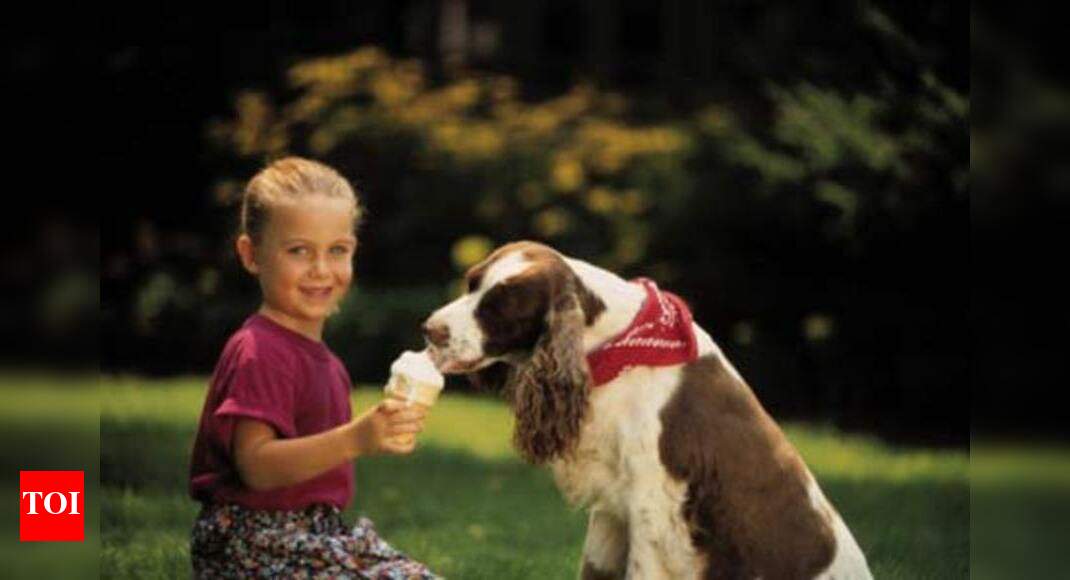 Lets talk about pets - Times of India