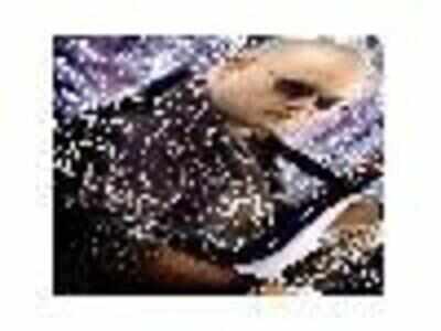 Its a long road ahead for Samidh | Bengali Movie News - Times of India