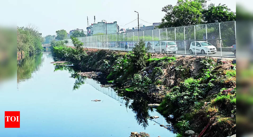 - Road: 20 Yrs On, 4km Road To ‘gain Ground’ Finally | Ludhiana News ...