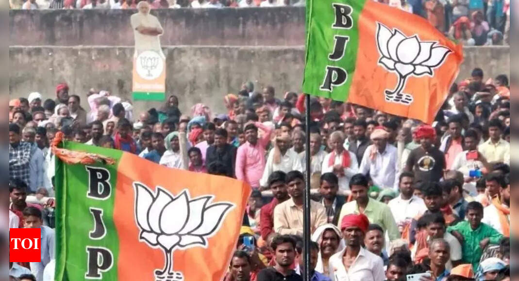 Bjp: BJP announces 2 more candidates for Madhya Pradesh assembly polls ...