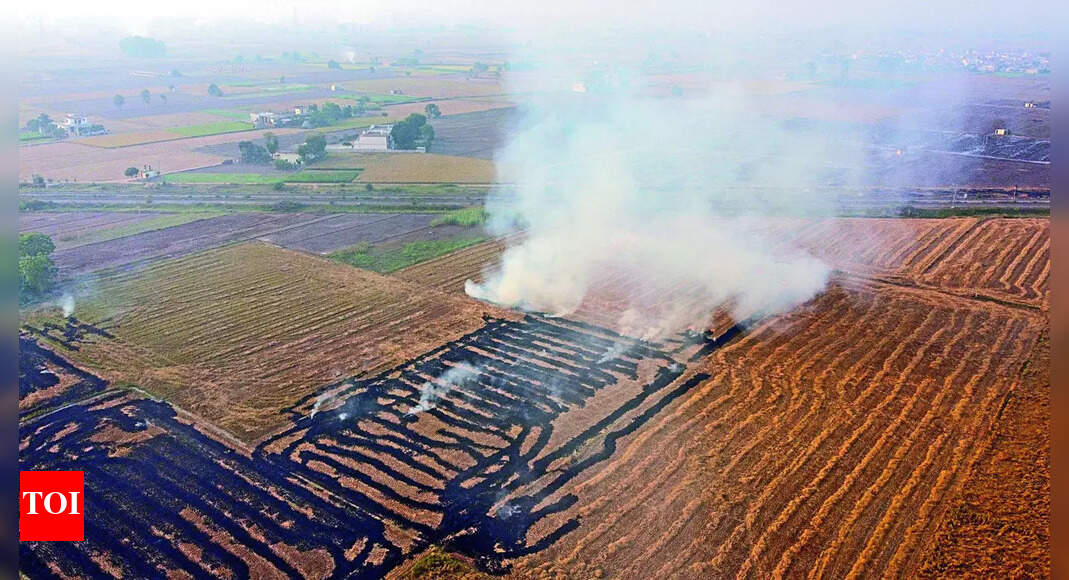 Farm Fire: Storm after the lull: In Punjab, 1,068 farm fire cases in a ...